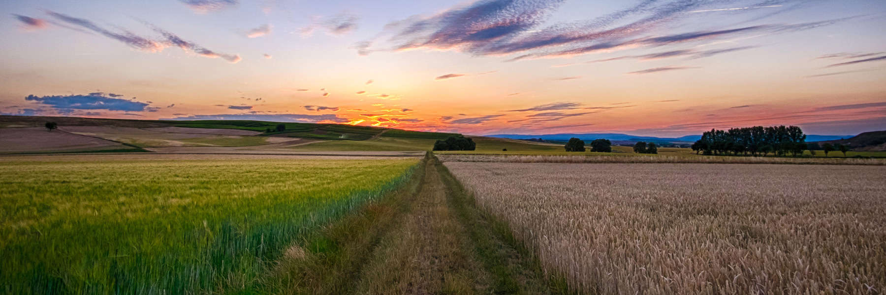 Save Our Seed - Campaign Resources | National Farmers Union