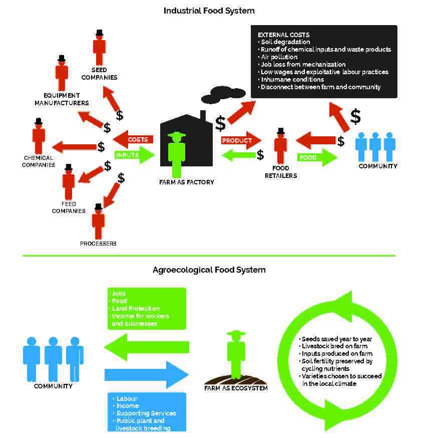 Agroecology | National Farmers Union