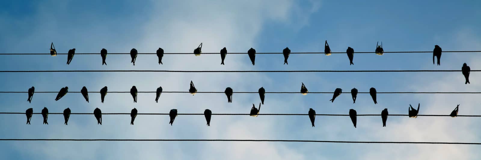 Learn | National Farmers Union