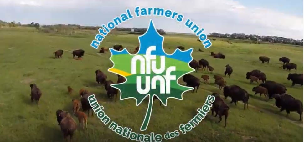NFU 50th Anniversary “Unity Video” | National Farmers Union