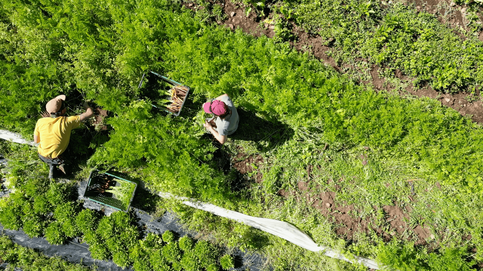 National Farmers Union - Standing up for farmers since 1969.