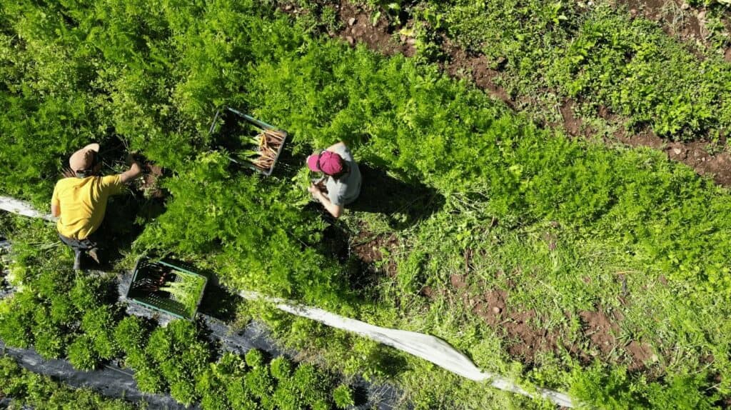 National Farmers Union - Standing up for farmers since 1969.
